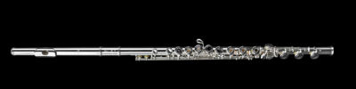 DZ 300 Series - Di Zhao Flutes